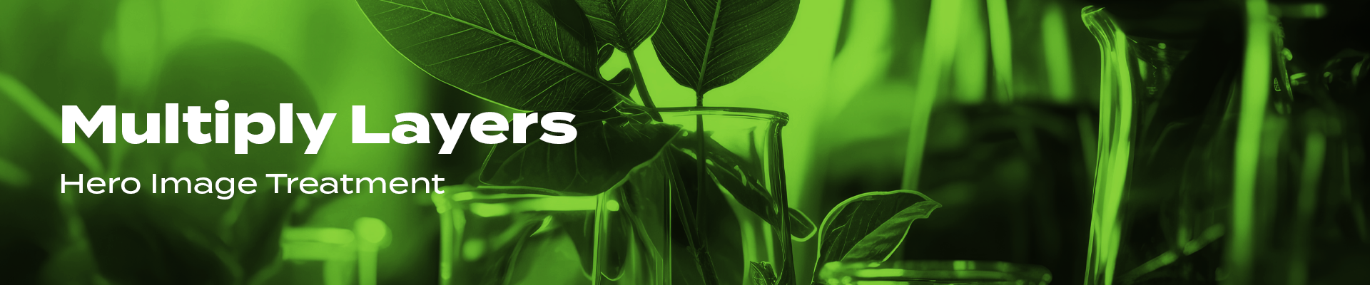 9 Ways to Style the Website Hero Images and Landing Page Images for ...